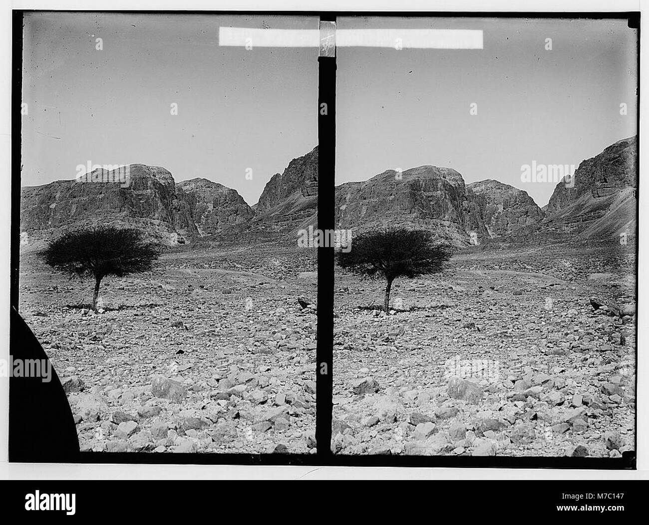 A photograph of the Wady (valley) on the western shore of the Dead Sea ...