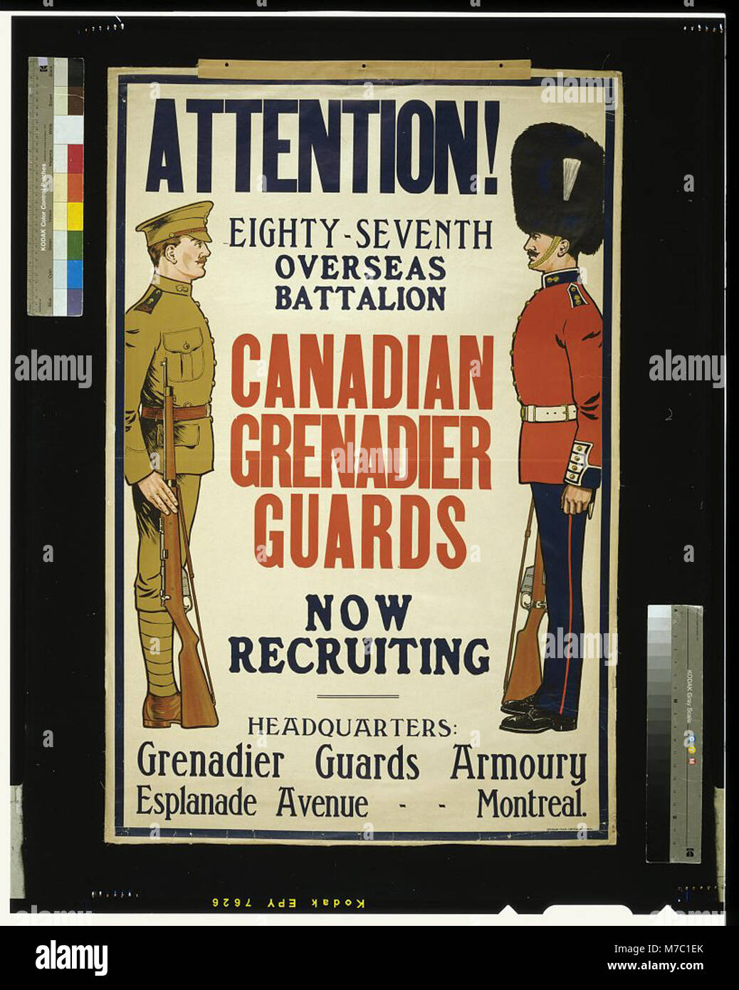 Canadian Grenadier Guards High Resolution Stock Photography and Images ...