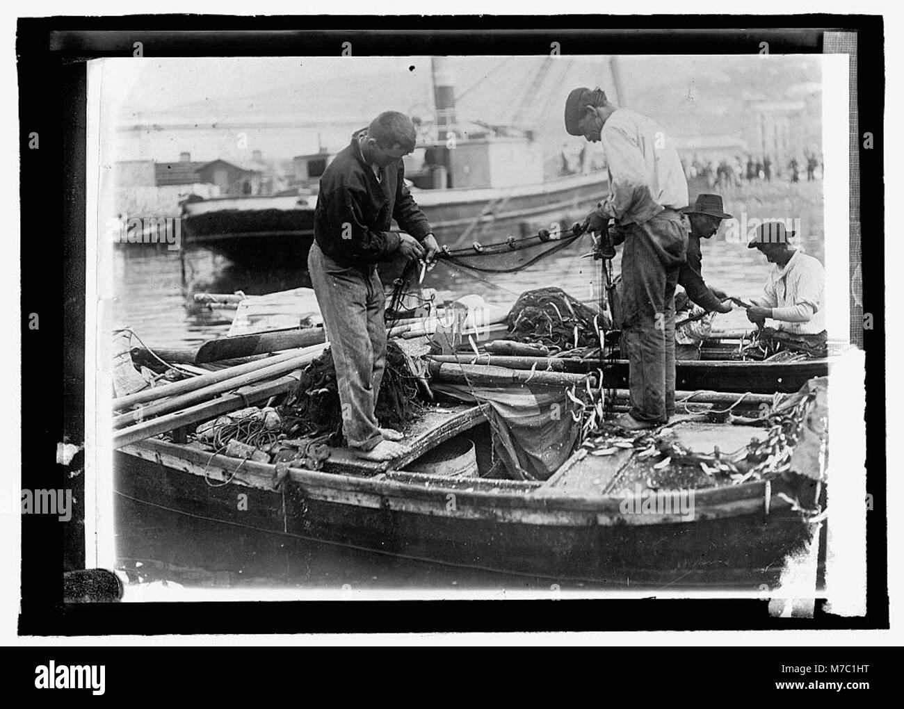 A photograph of sardine fishing in the Gulf of Trieste, Austria ...
