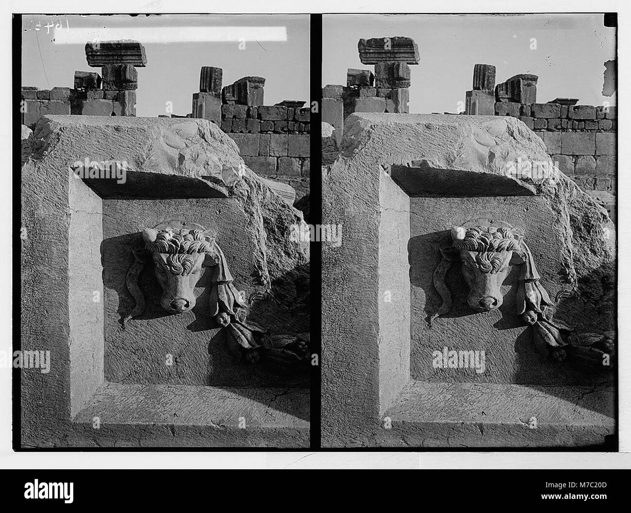 Temple on head Black and White Stock Photos & Images - Alamy