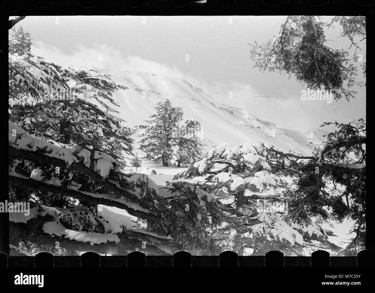 A wide view of the open mountain landscape below the Cedars, showcasing ...
