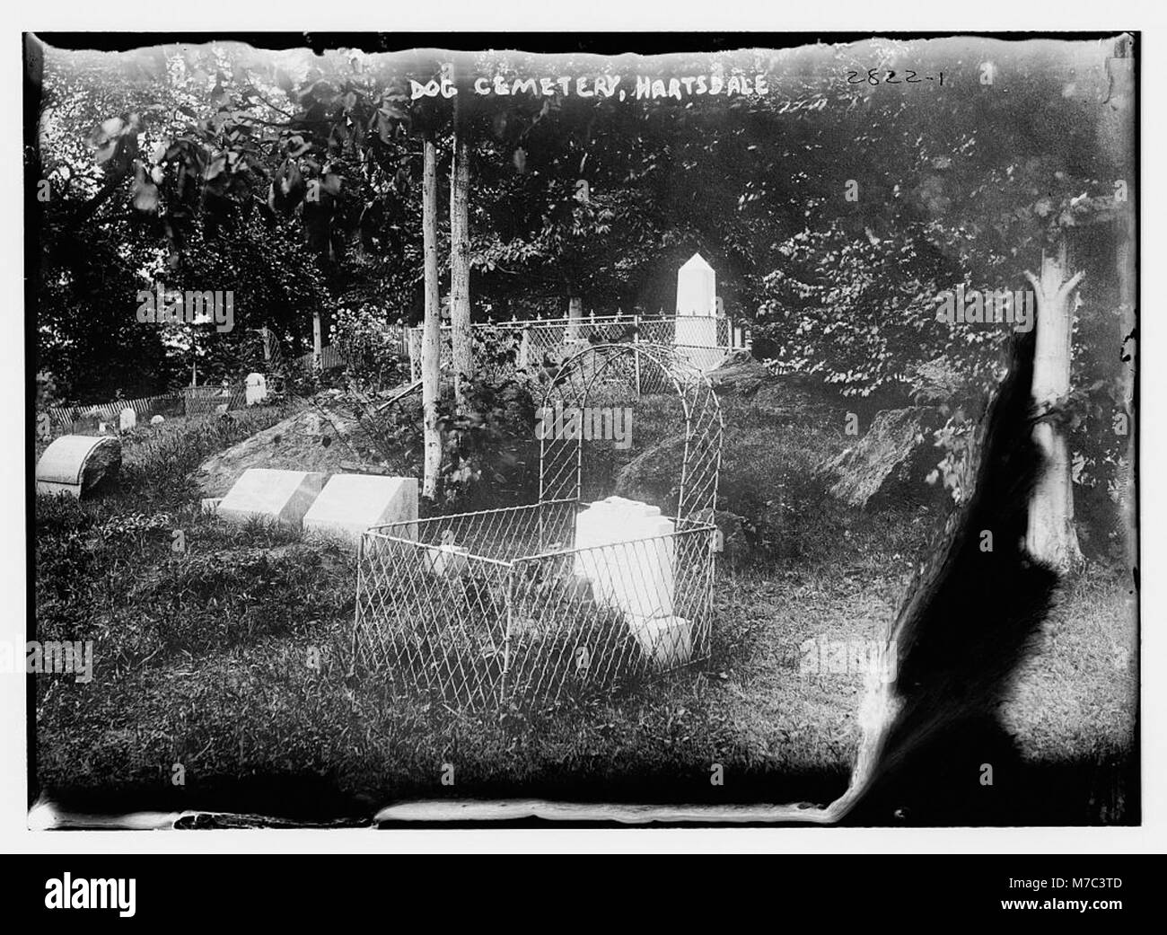 Dog cemetery hi-res stock photography and images - Alamy