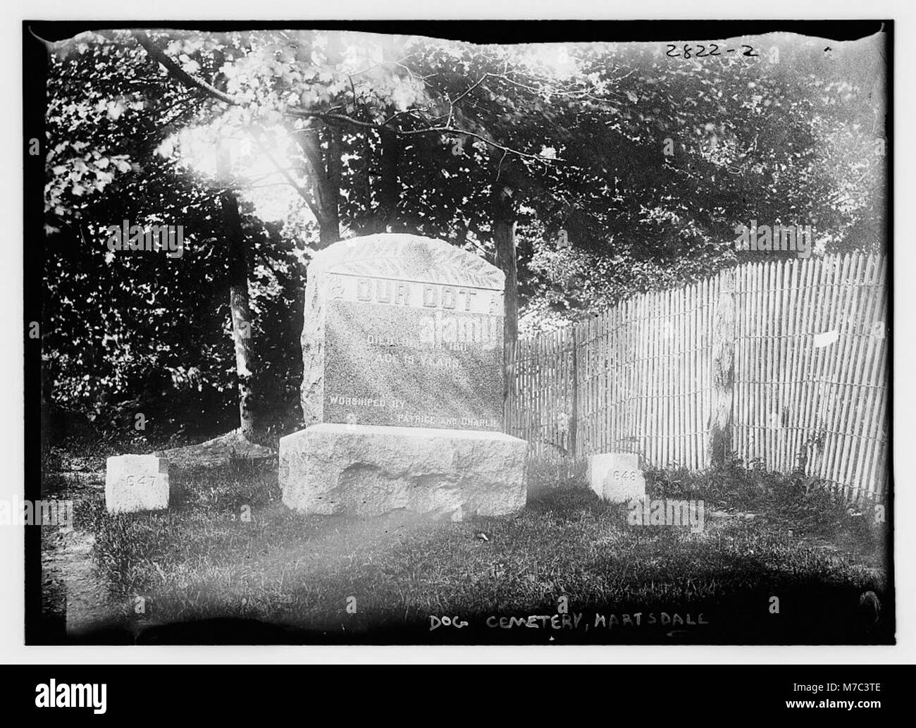 The photograph depicts the Hartsdale Dog Cemetery, known as one of the ...