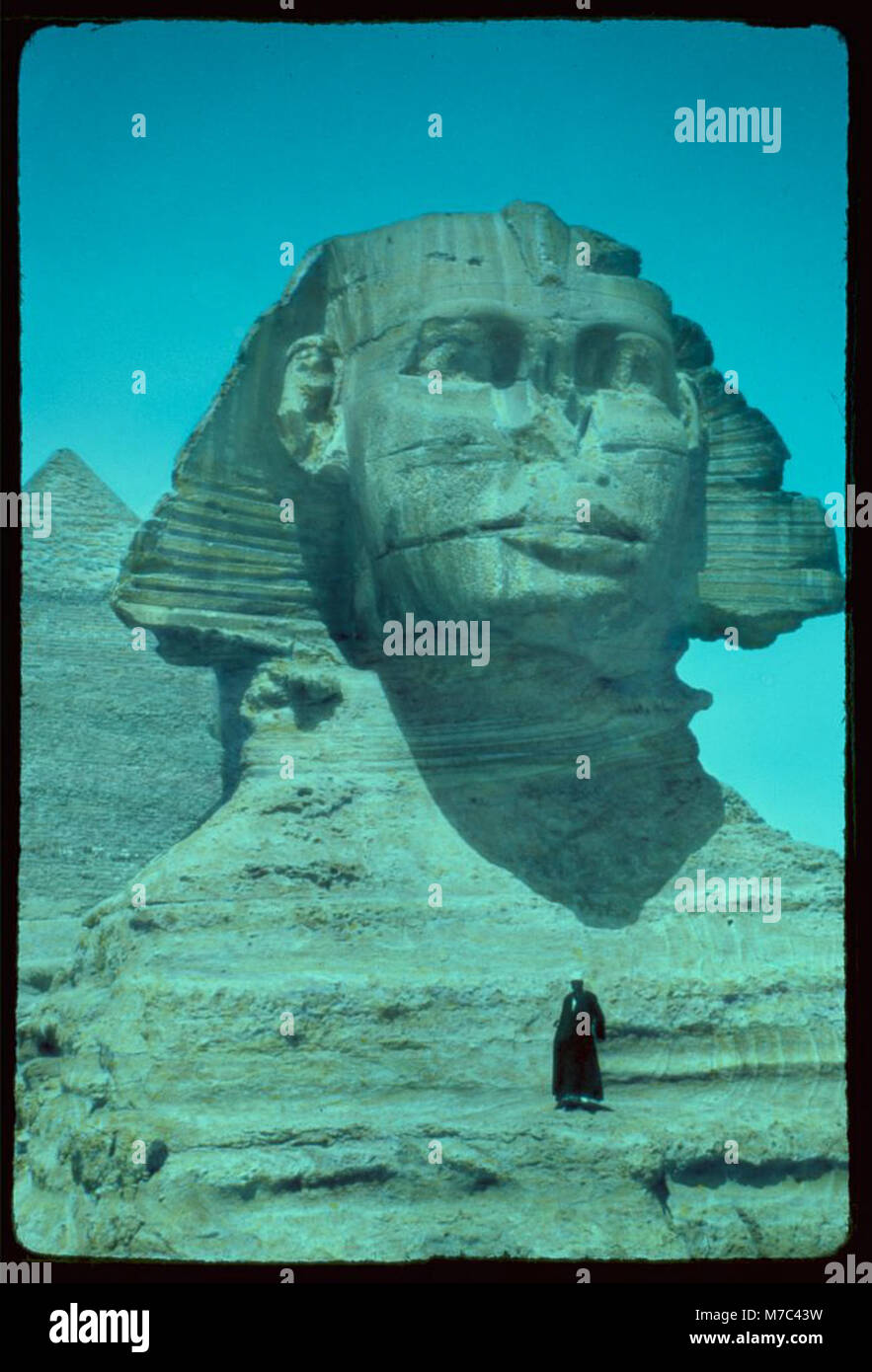 A close-up photograph of the Sphinx, part of the pyramids complex in ...