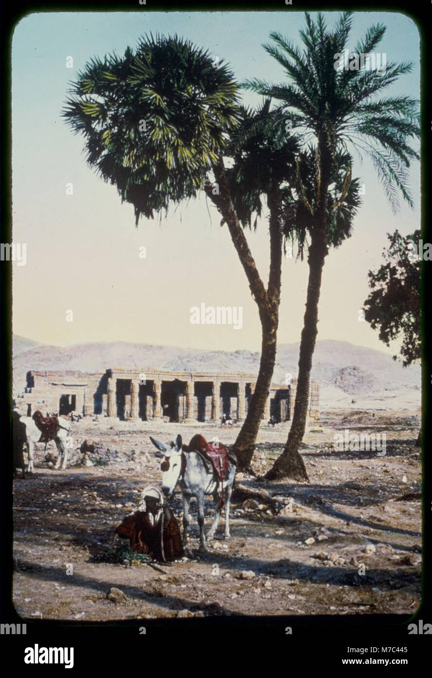 Egypt. Thebes. Temple of Kurna LOC matpc.23080 Stock Photo - Alamy