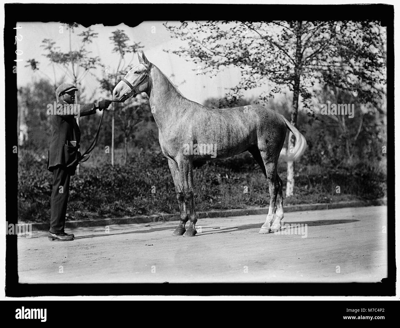 A portrait of Dr. Cary T. Grayson, U.S. Navy officer, alongside his ...