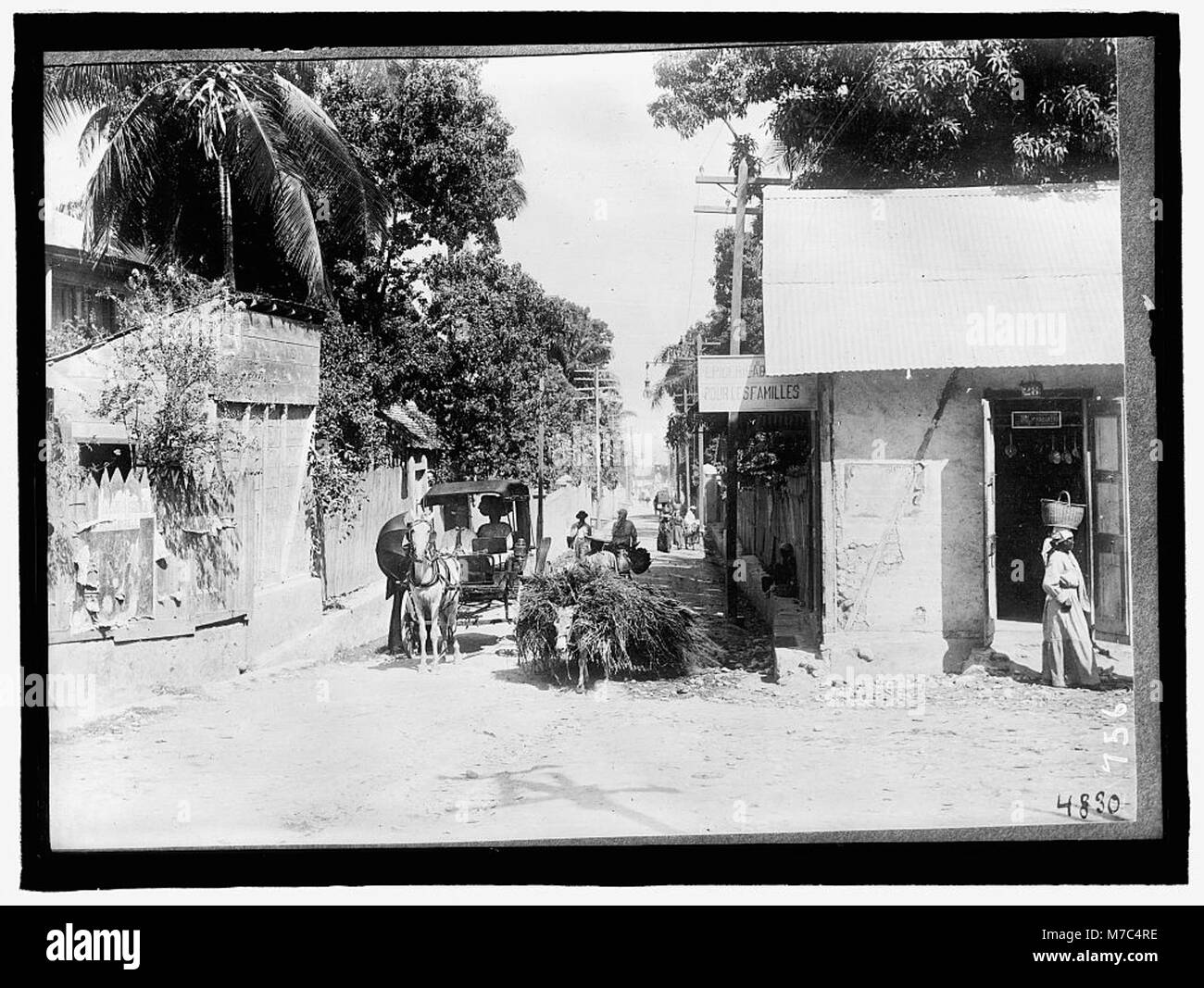 A scenic view of Port-au-Prince, Haiti, showcasing the city’s vibrant ...