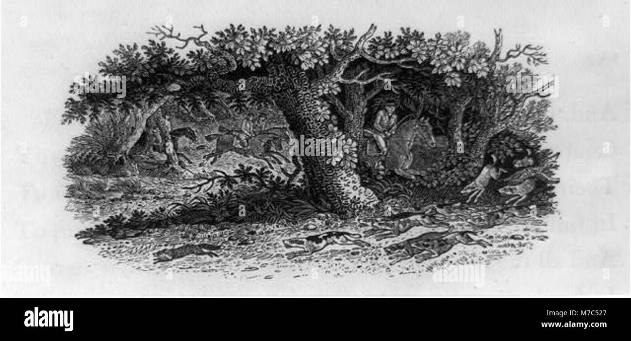 Horsemen and hounds chasing fox across English countryside Stock Photo ...