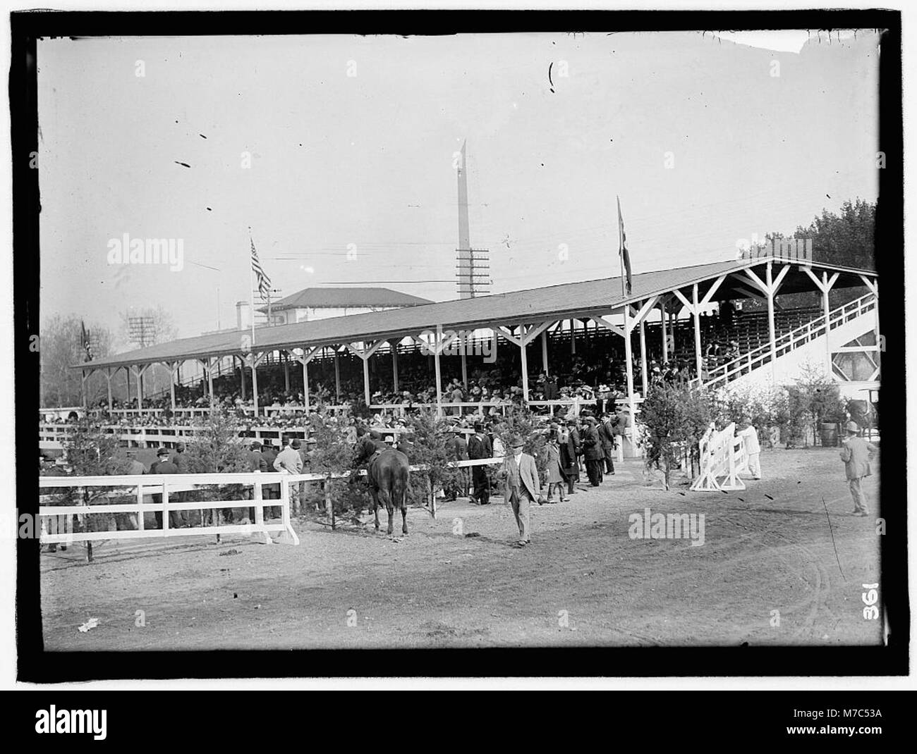 A general view of horse shows, capturing various events and ...