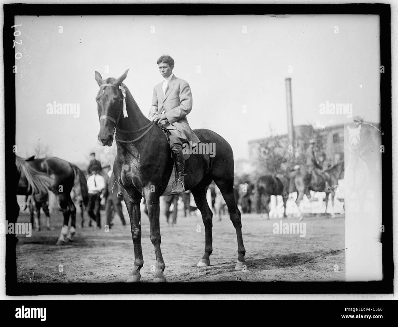 A depiction of horse shows, an event showcasing equestrian skills and ...