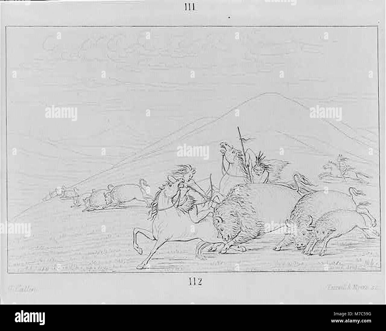 A historical photograph depicting Native Americans hunting buffalo, an ...