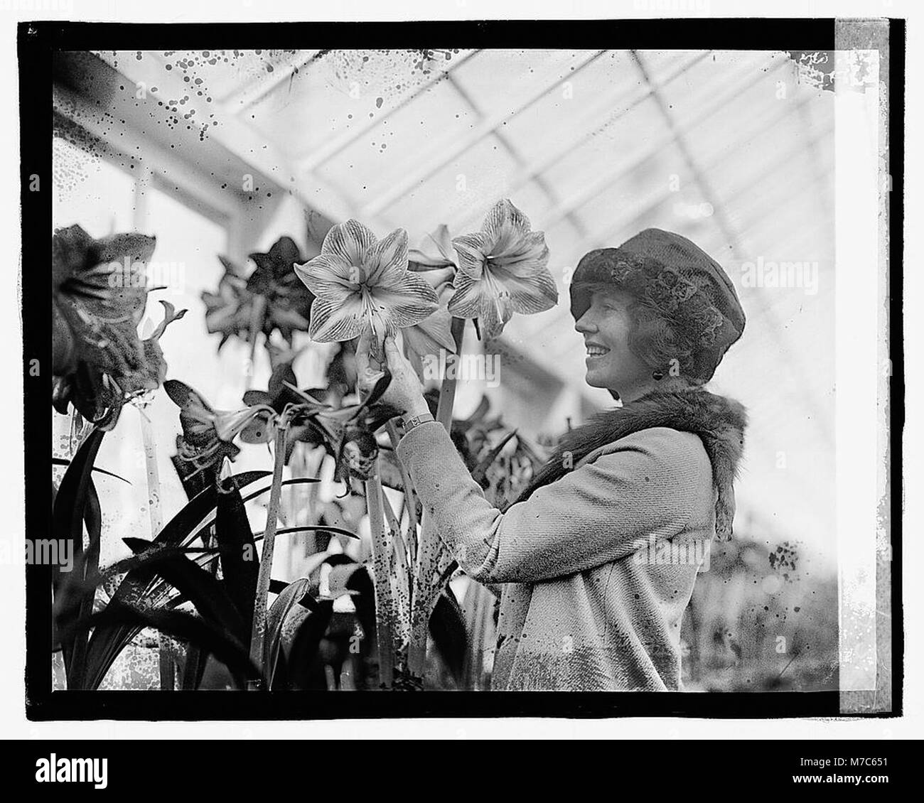 Mary Wallace Stock Photos & Mary Wallace Stock Images - Alamy