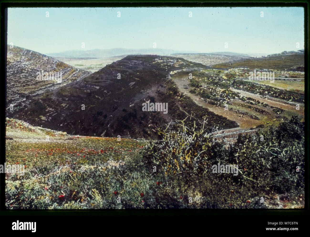 The Hill of Tibna, near Timnath, located north of Jerusalem, holds ...