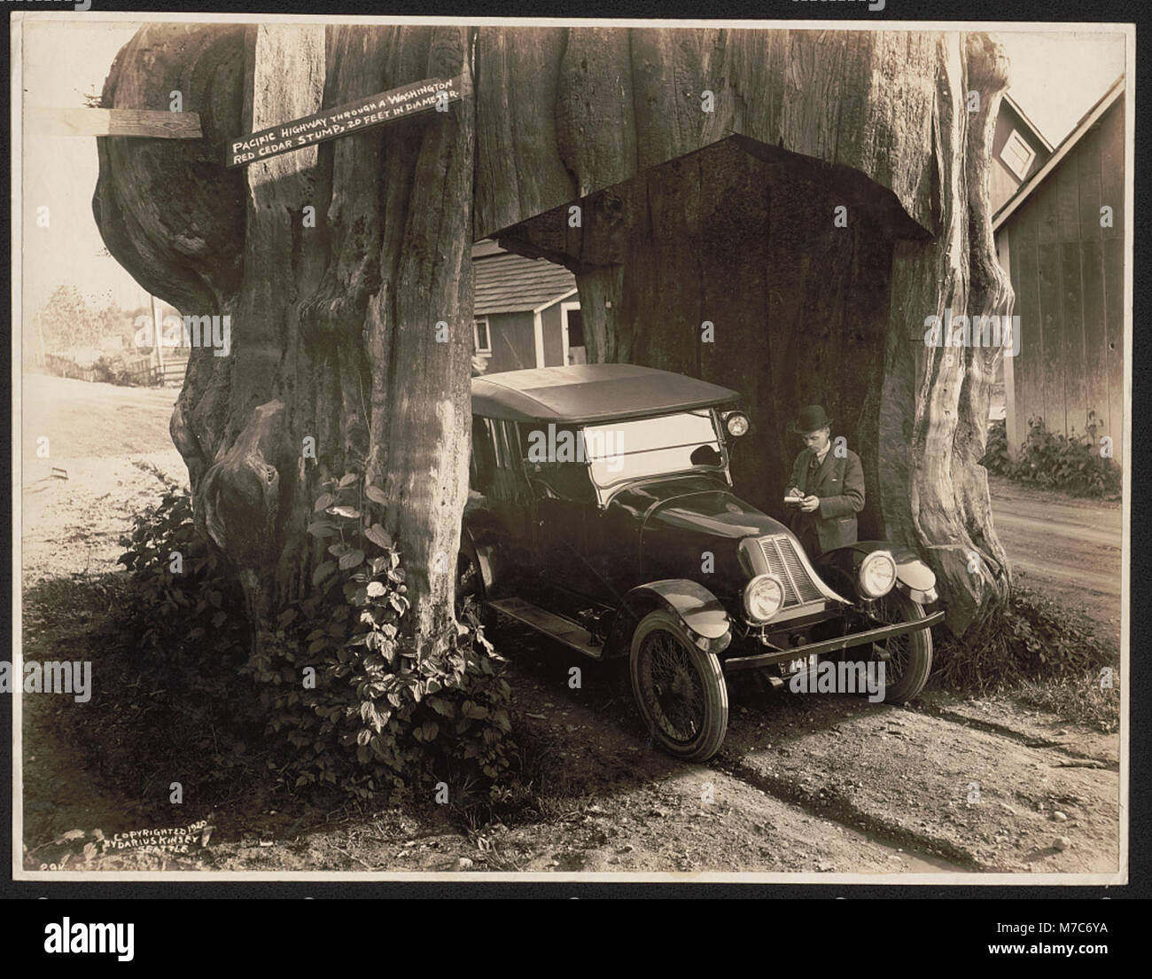 Pacific Highway through a Washington red cedar stump, 20 feet in ...