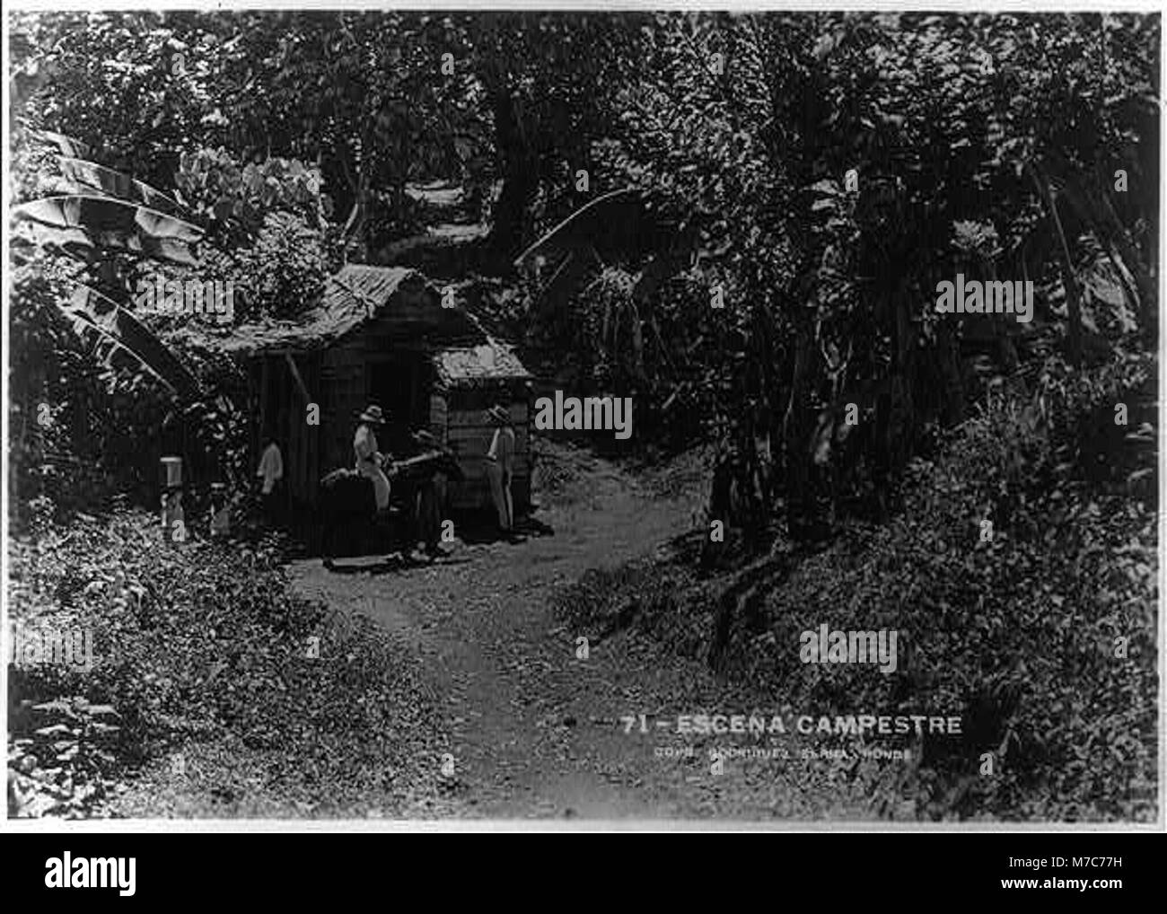 This photograph from 1922 shows a rural scene in Puerto Rico, with six ...