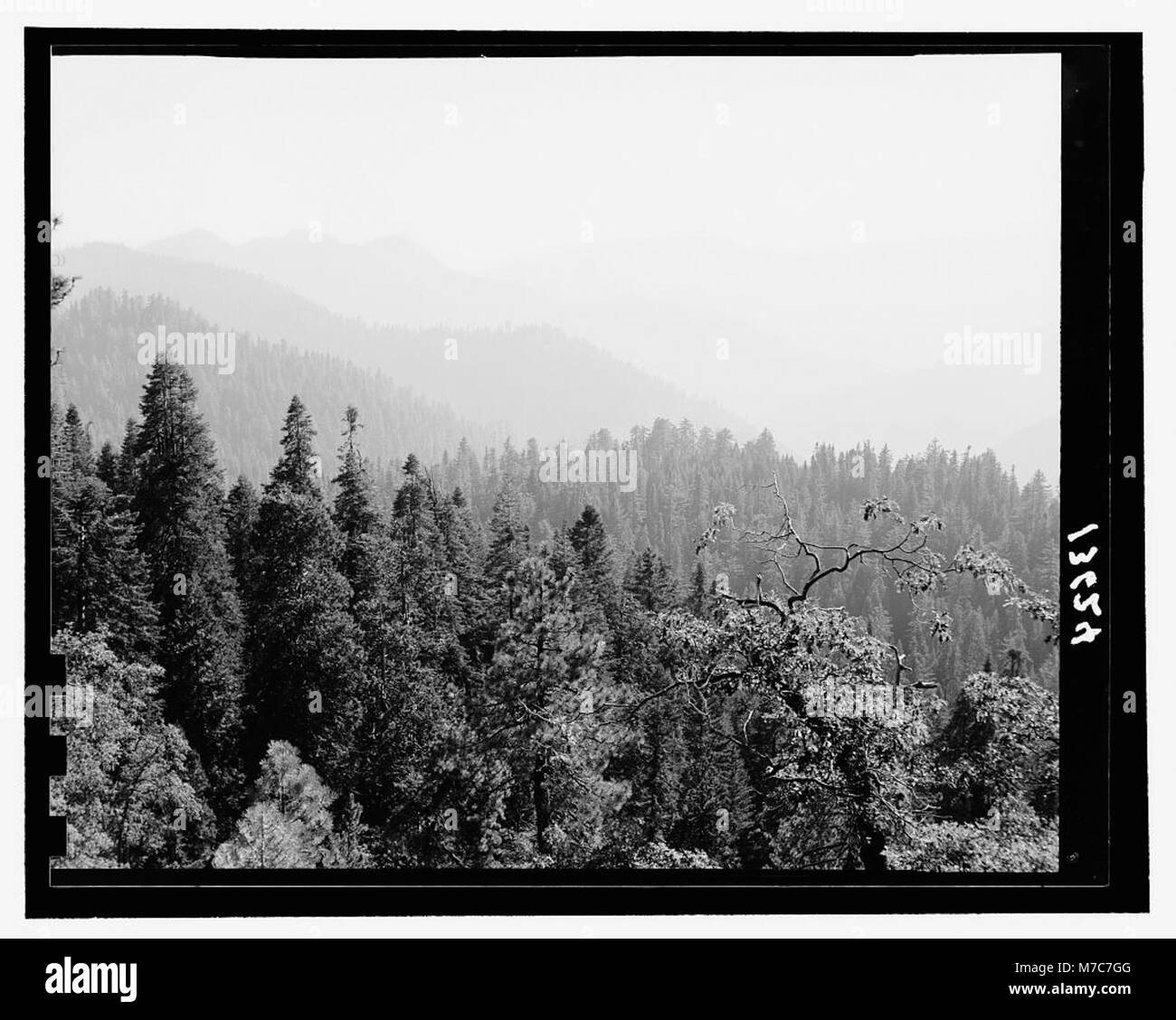 From park forest Black and White Stock Photos & Images - Alamy