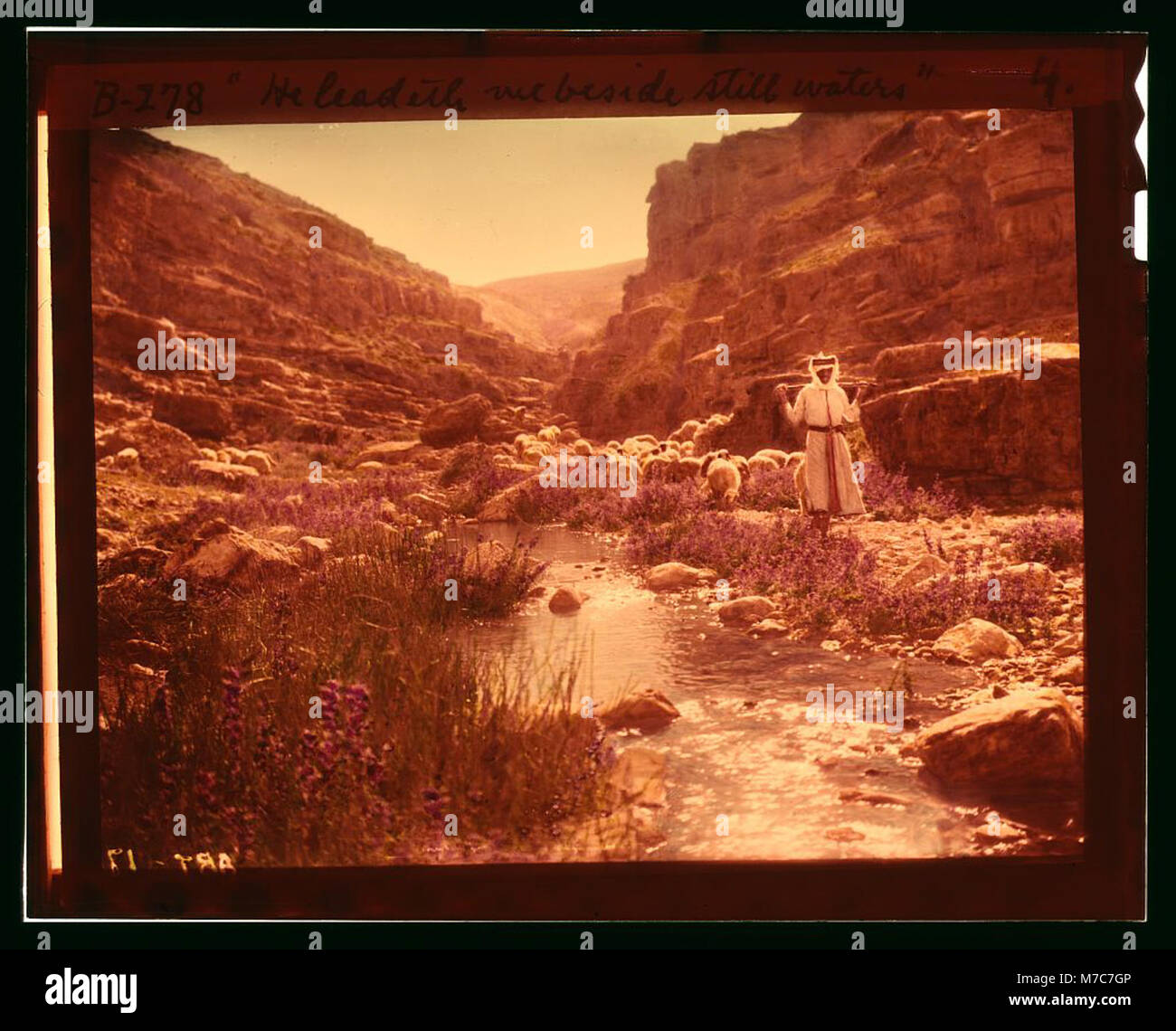 A set of 13 slides depicting scenes from shepherd life, inspired by the ...