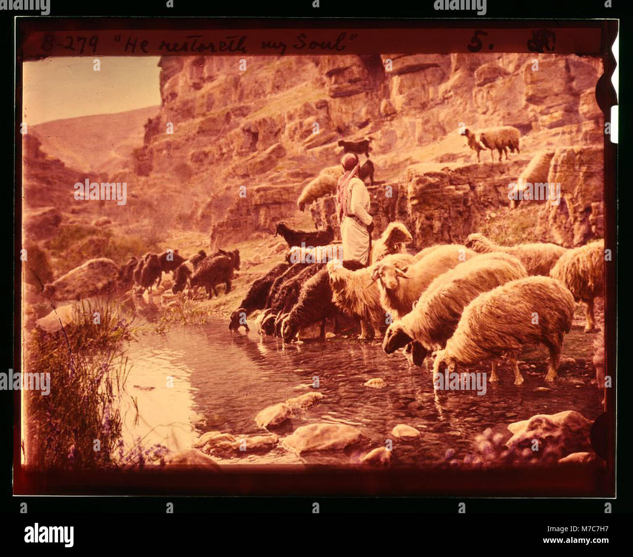 A set of slides depicting scenes of shepherd life, illustrating the ...