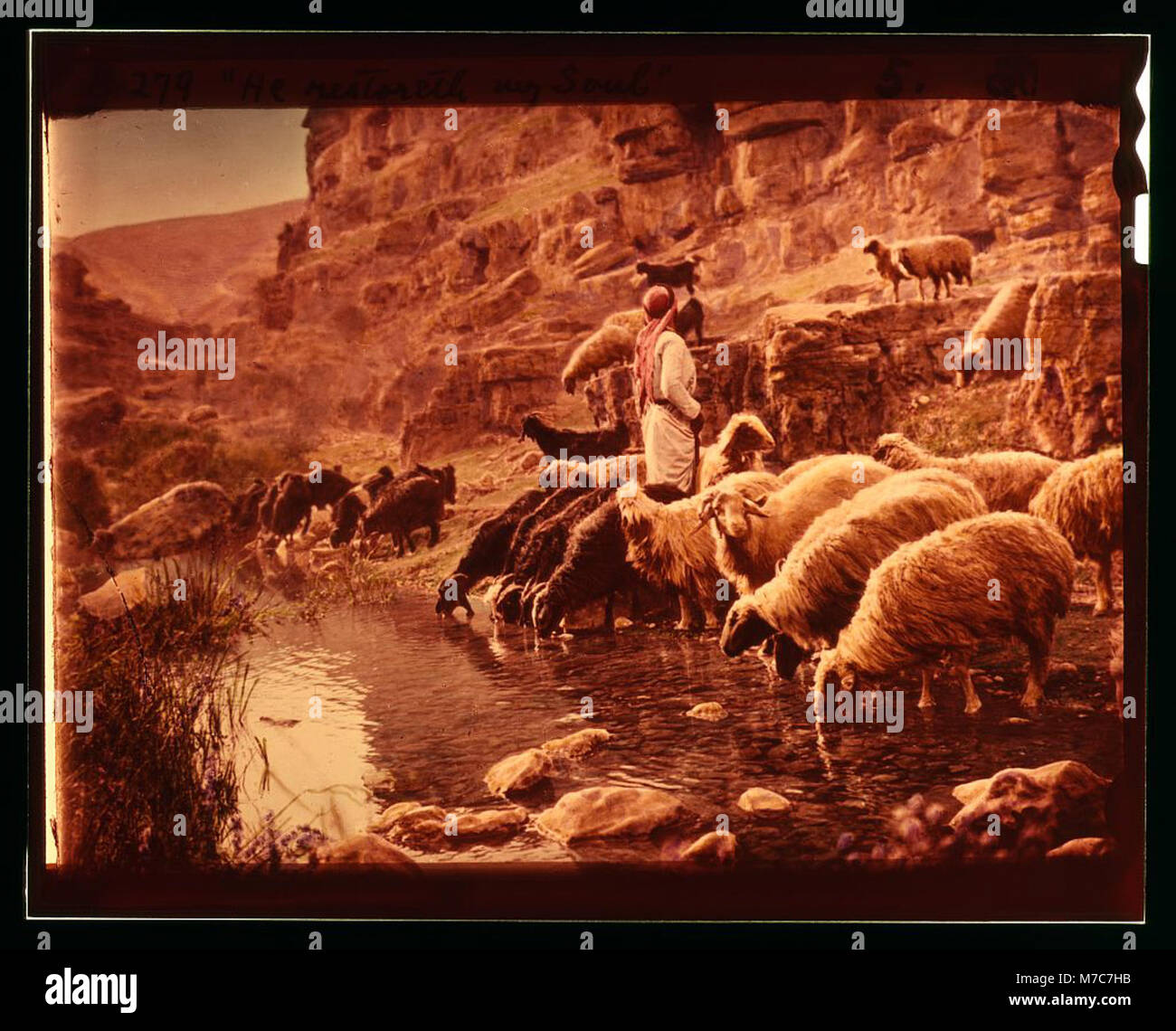 This set of thirteen slides depicts scenes of shepherd life ...