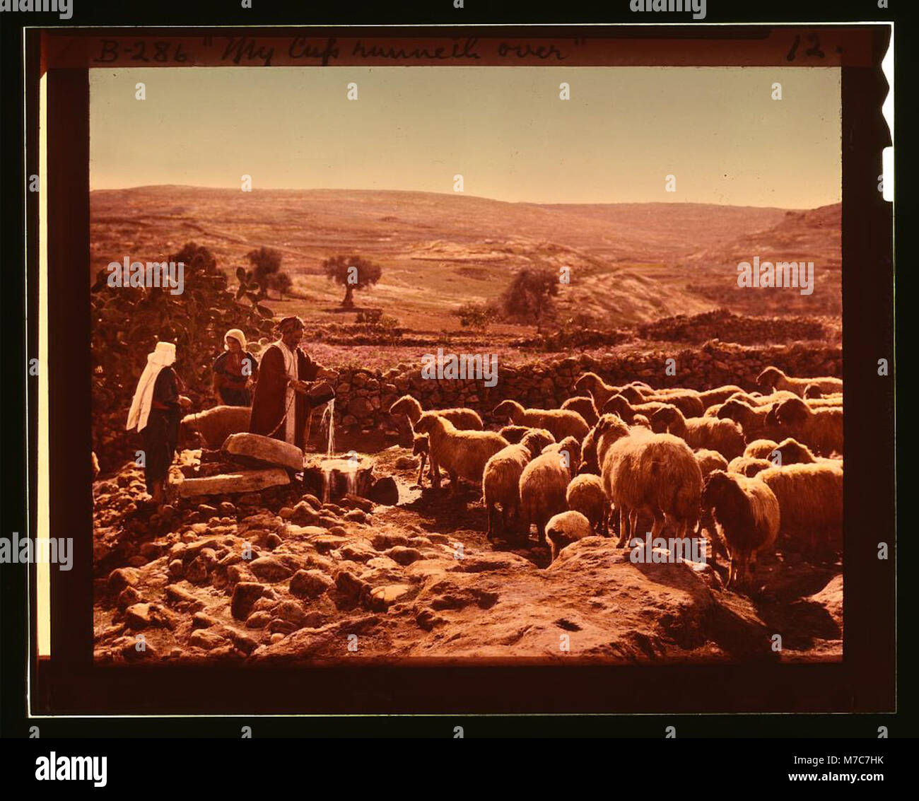 A set of slides depicting scenes of shepherd life, as described in the ...