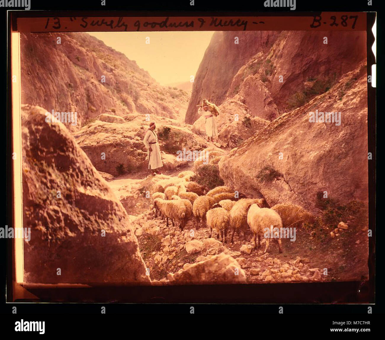 A series of 13 slides depicting shepherd life as described in the ...