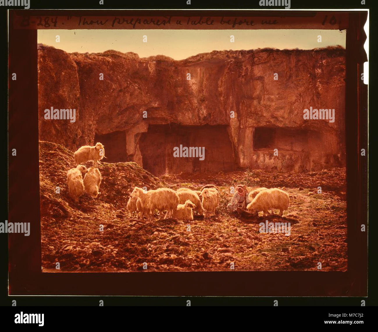 This set of thirteen slides illustrates shepherd life as described in ...
