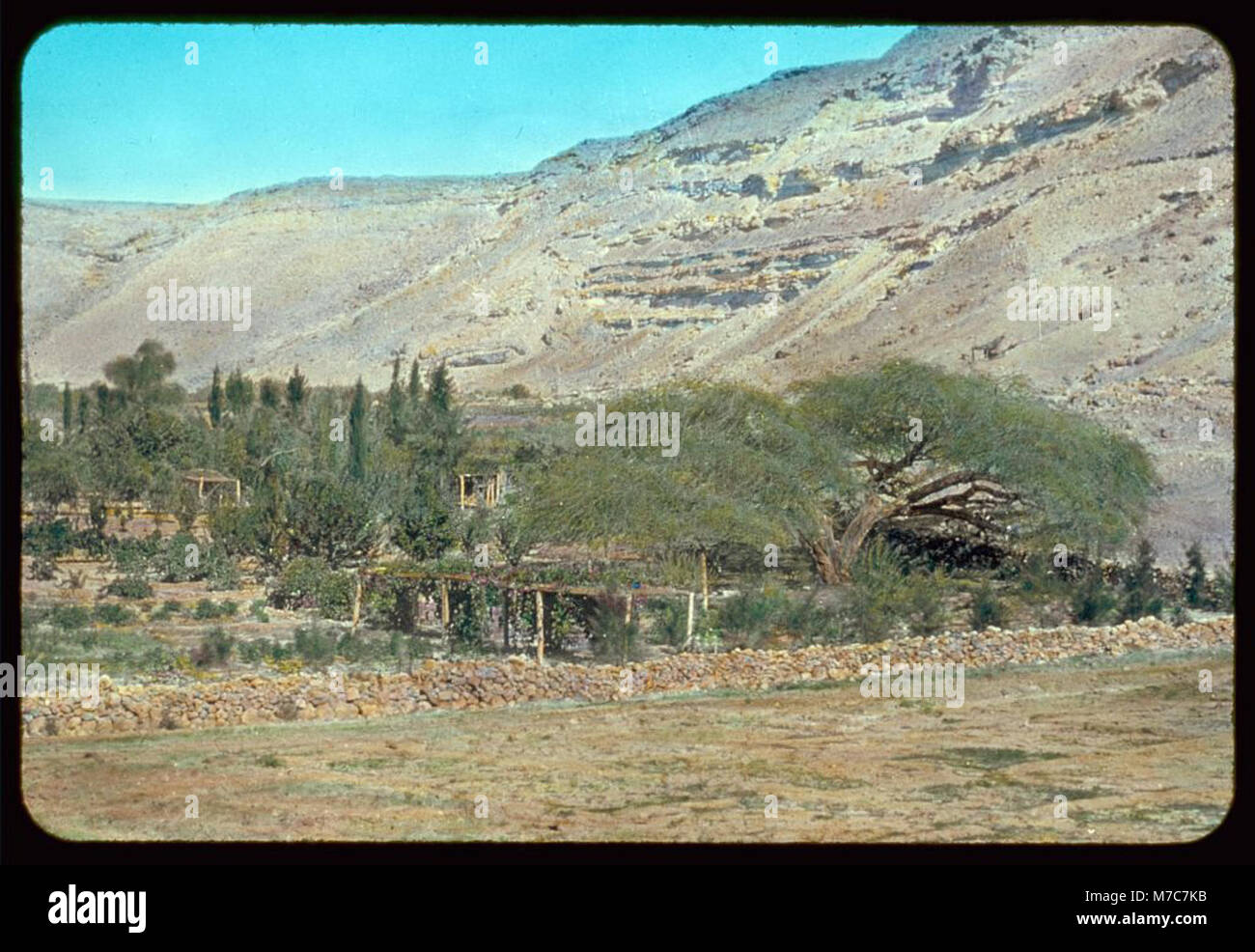 Kadesh Barnea Hi Res Stock Photography And Images Alamy