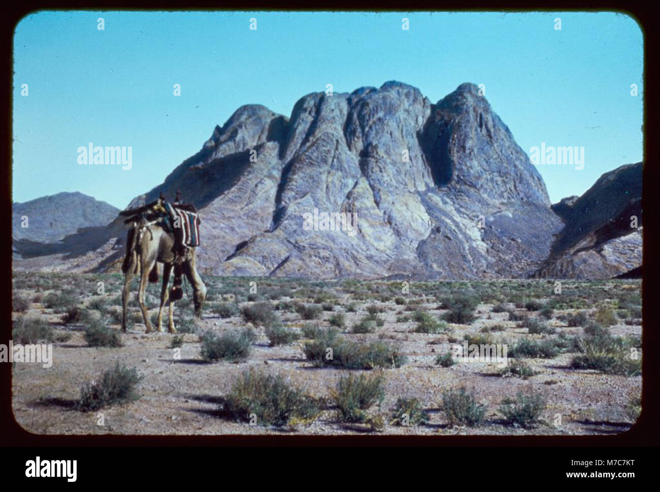 Sinai. Ras Safsaf called Mt. Sinai or Gebel Mousa. Exodus 24-16 LOC ...