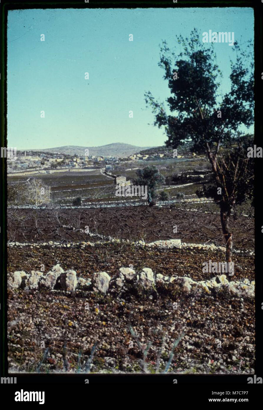 Gaza palestine map hi-res stock photography and images - Alamy
