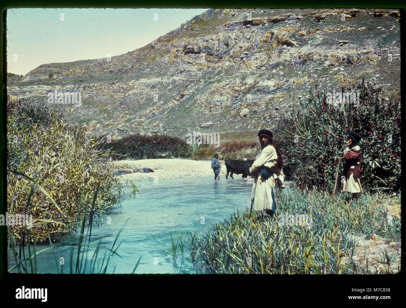 Jabbok river hi-res stock photography and images - Alamy