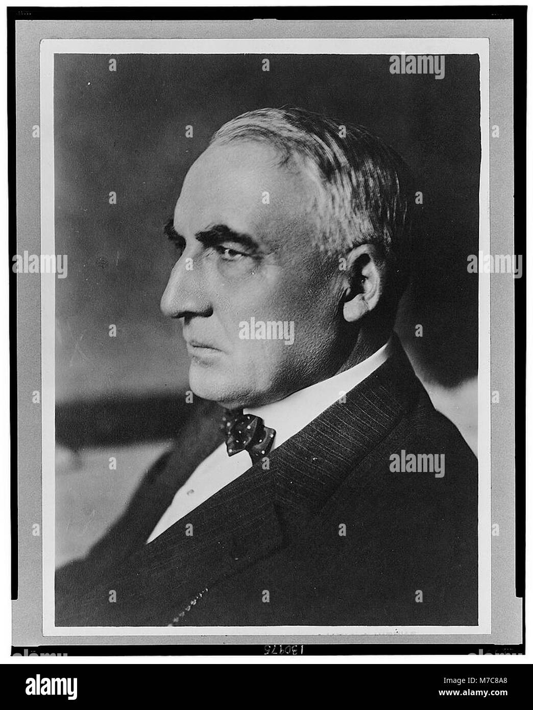 A formal portrait of Warren Harding, the 29th President of the United ...