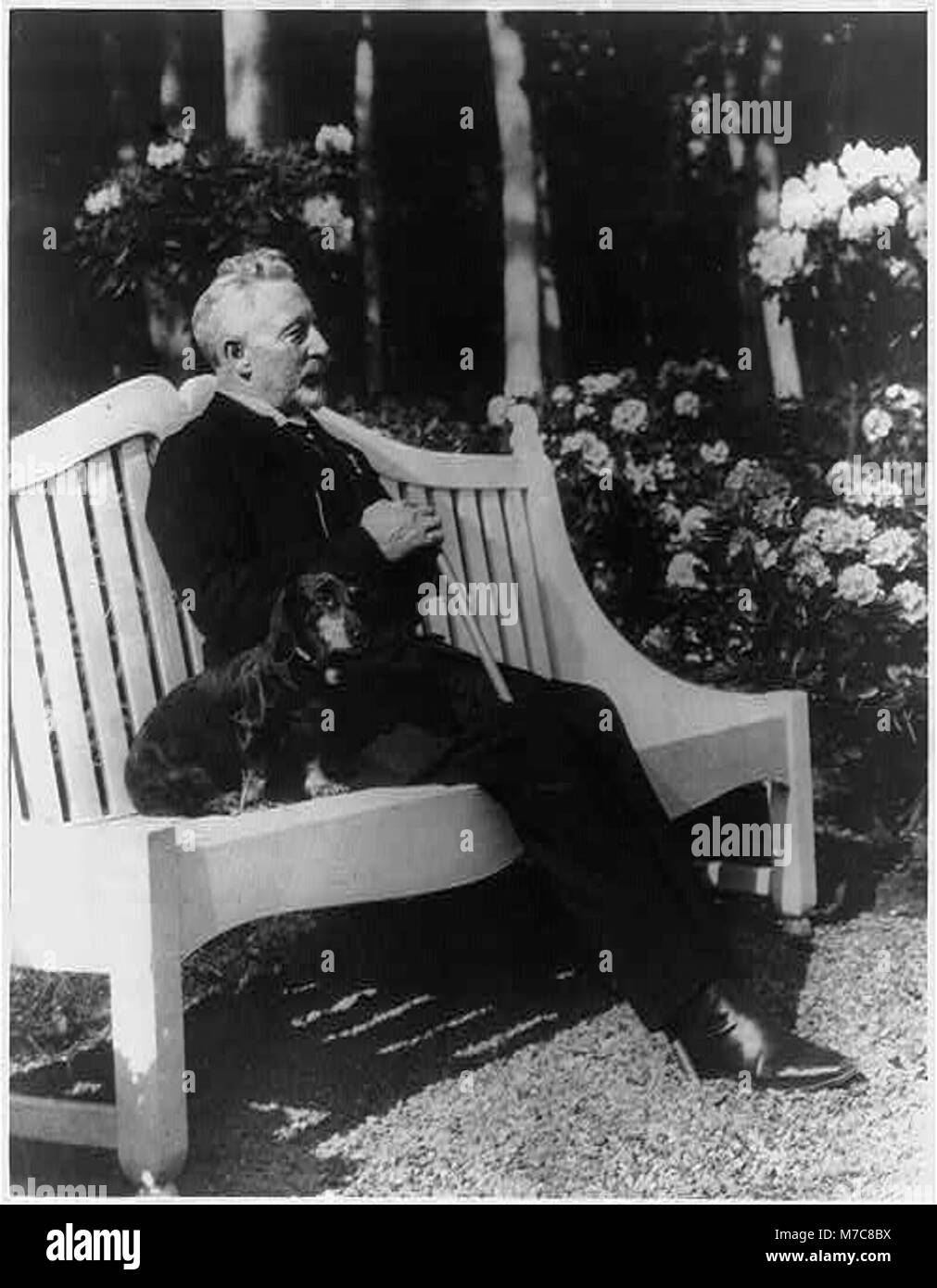 A portrait of Wilhelm II, the last German Emperor and King of Prussia ...