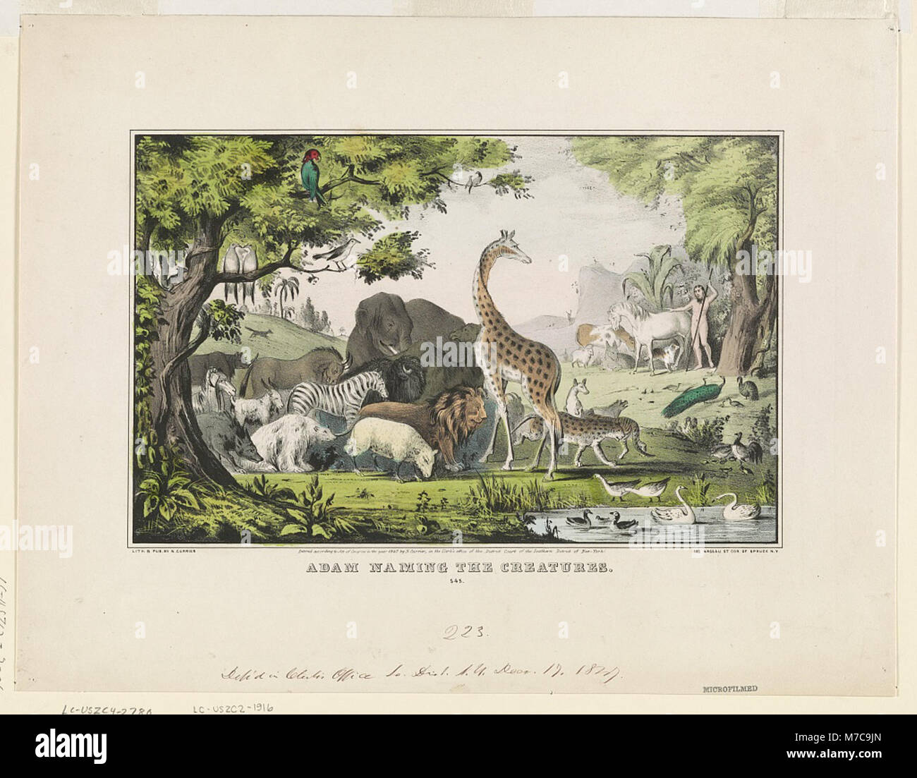 Adam naming animals hi-res stock photography and images - Alamy