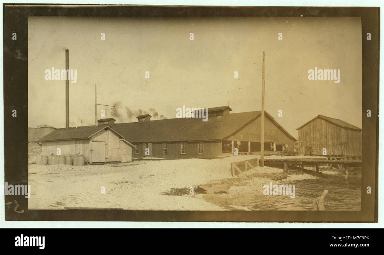 An image related to the Dunbar & Dukate oyster cannery, where child ...