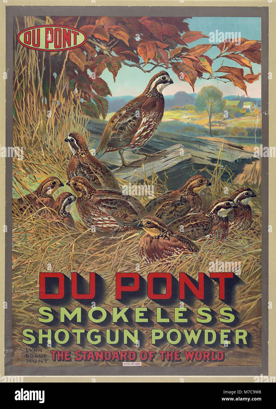 An advertisement for Du Pont smokeless shotgun powder, marketed as the ...