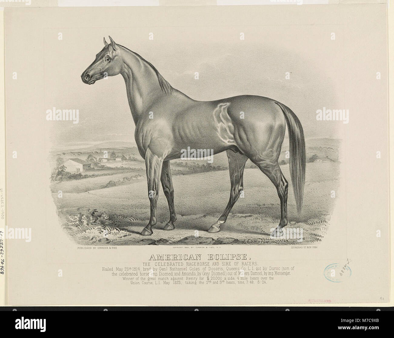 A portrait of the famous racehorse American Eclipse, celebrated for its ...