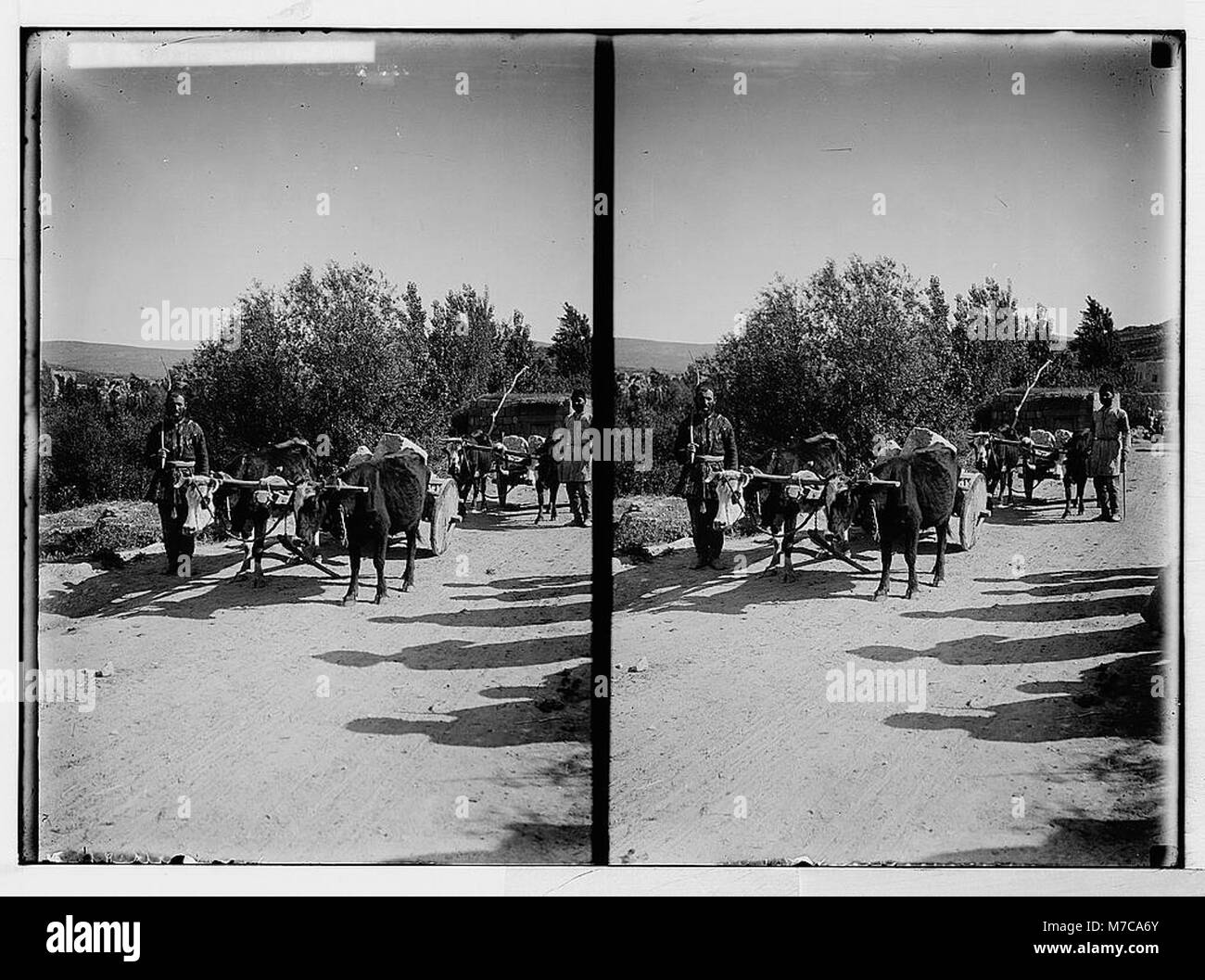 Circassian ox carts hi-res stock photography and images - Alamy