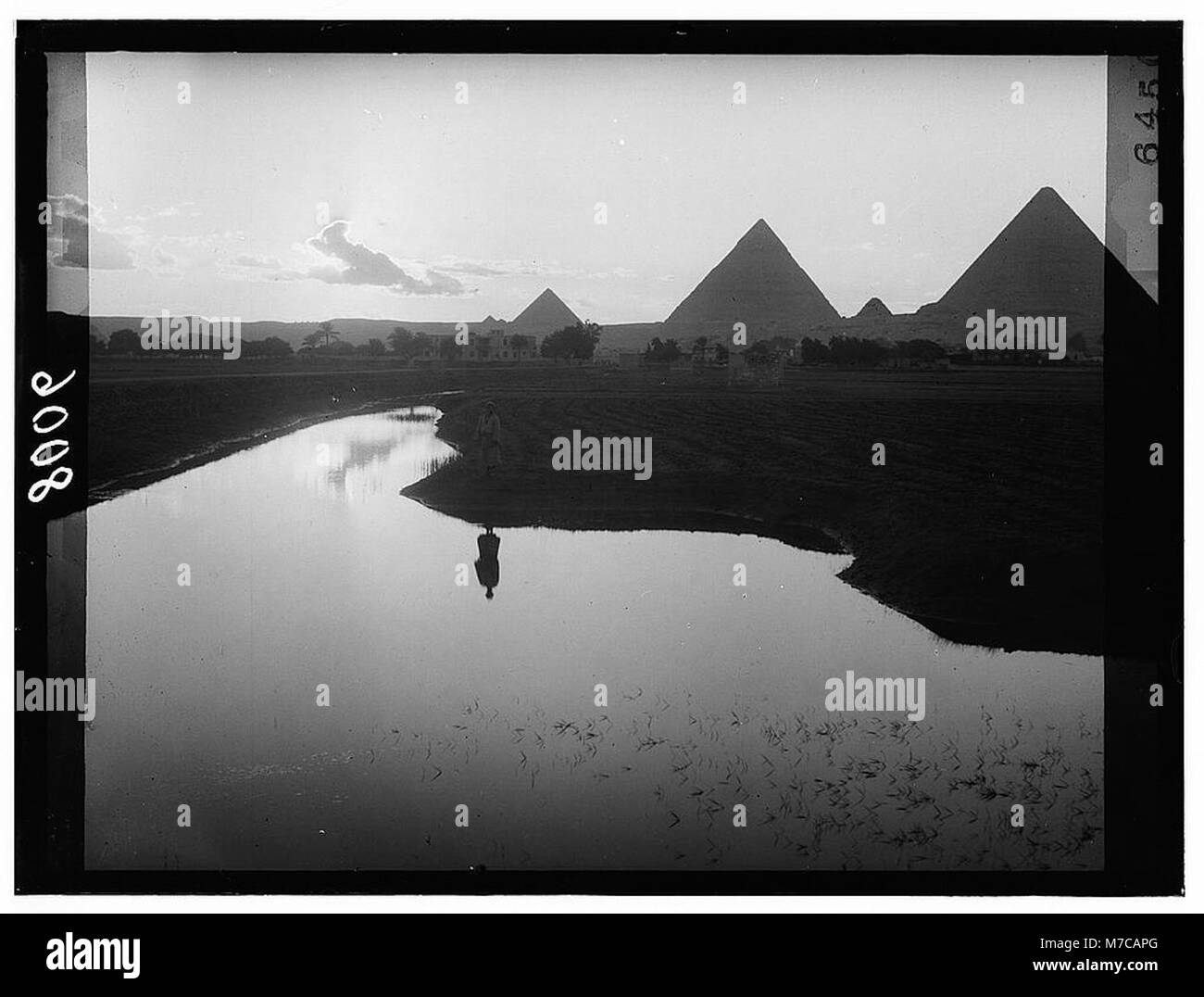 Evening view of the Nile River overflowing near the pyramids in Cairo ...