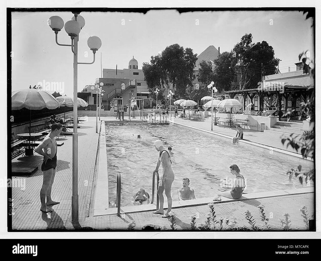 This image shows the swimming pool at Mena House, a famous hotel in ...