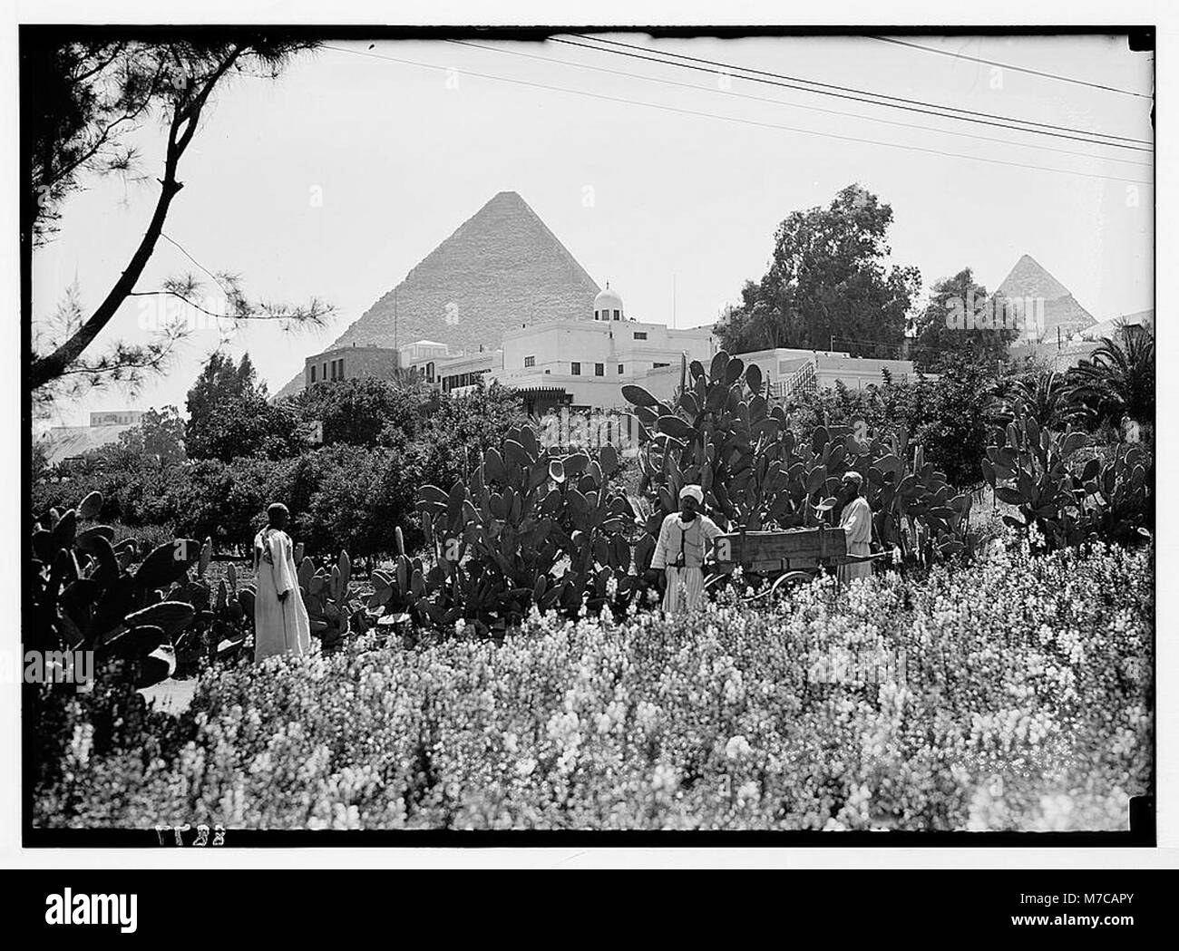 Image showing the Mena House hotel with views of the pyramids from its ...