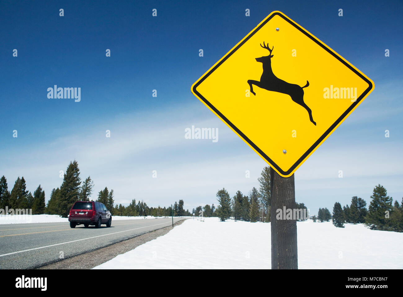 Roadside Deer Crossing Sign High Resolution Stock Photography and ...