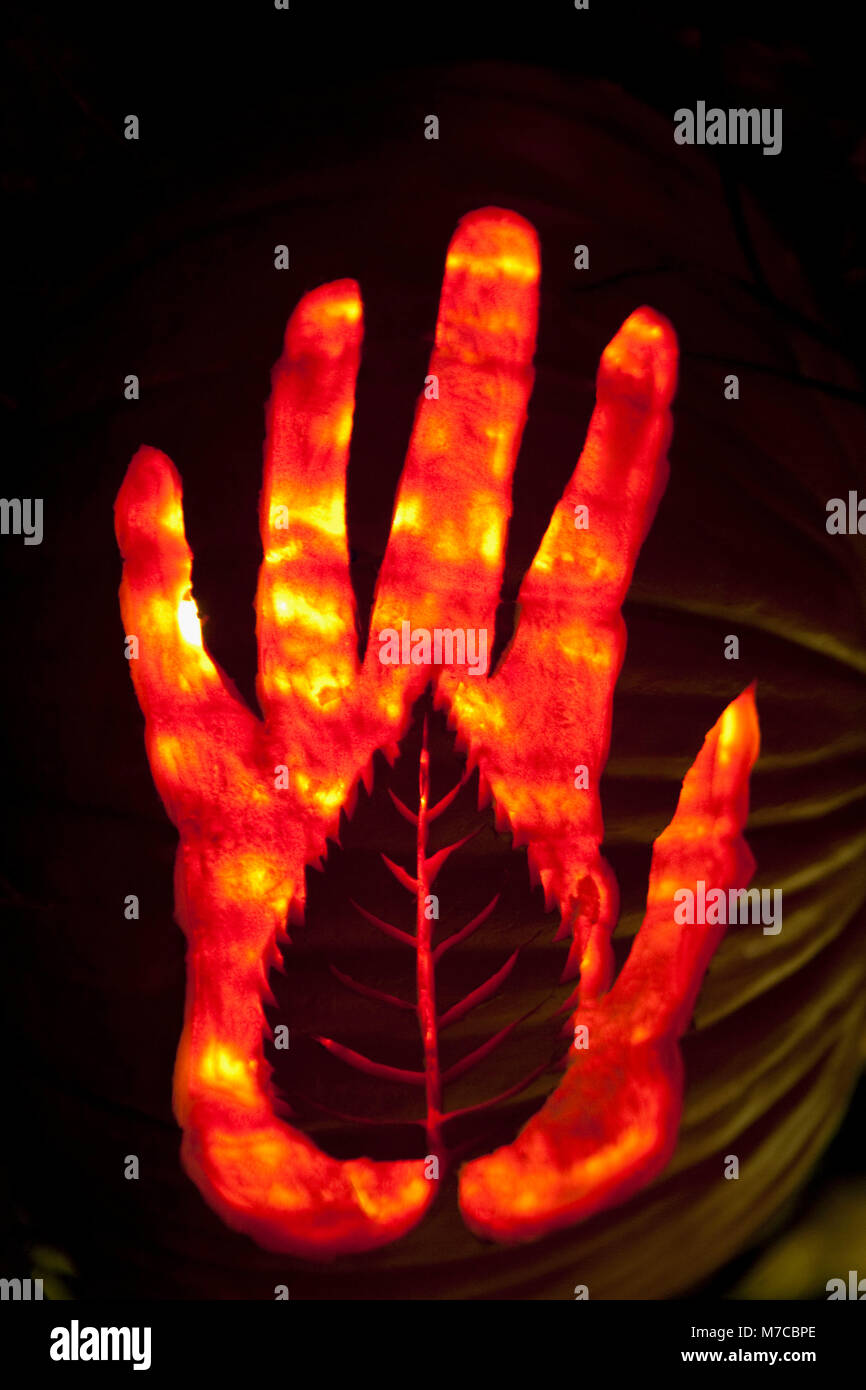 Hand colored lantern hi-res stock photography and images - Alamy