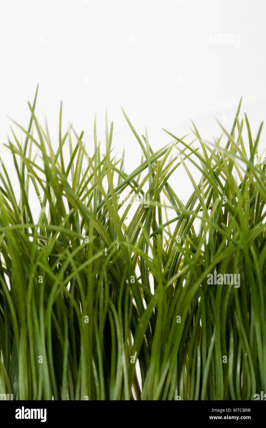 Geographic color colour exterior outdoors outside photography hi-res ...