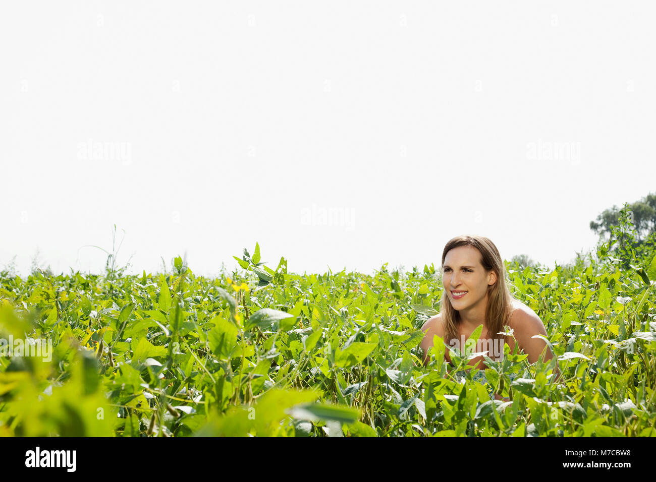 Woman enjoying in a field Stock Photo - Alamy