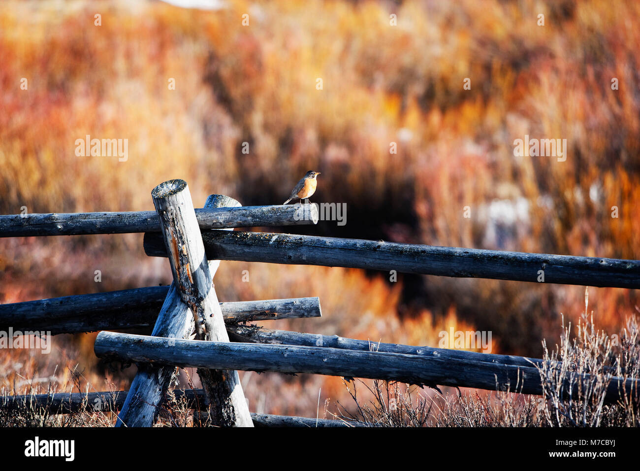 National security interests hi-res stock photography and images - Alamy