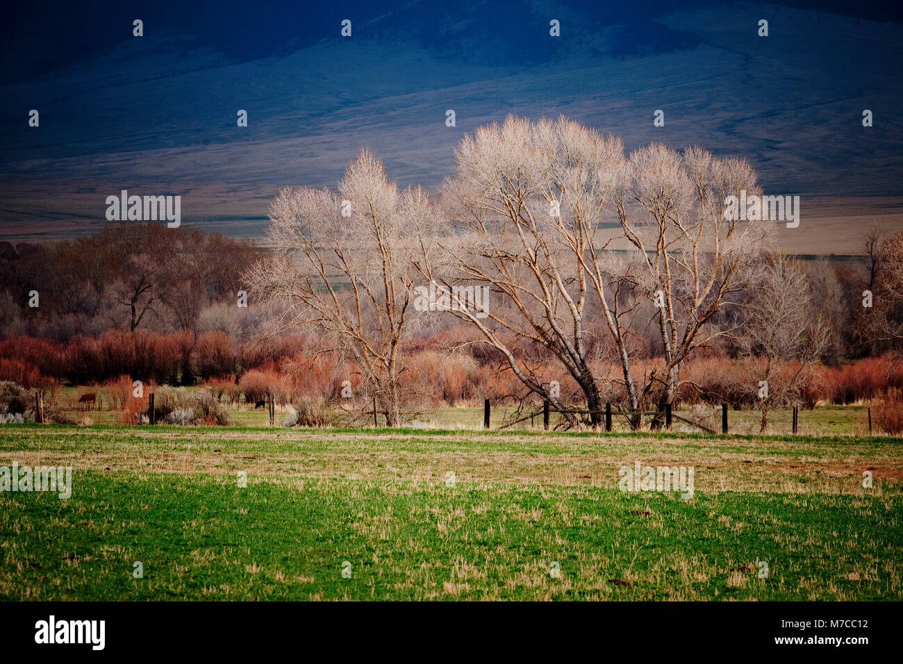 Wyoming rural landscapes hi-res stock photography and images - Alamy