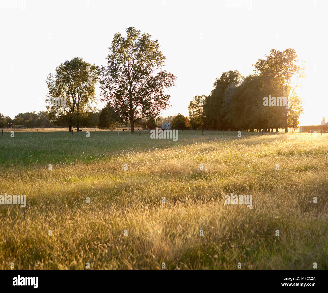 Gbr139211097 hi-res stock photography and images - Alamy