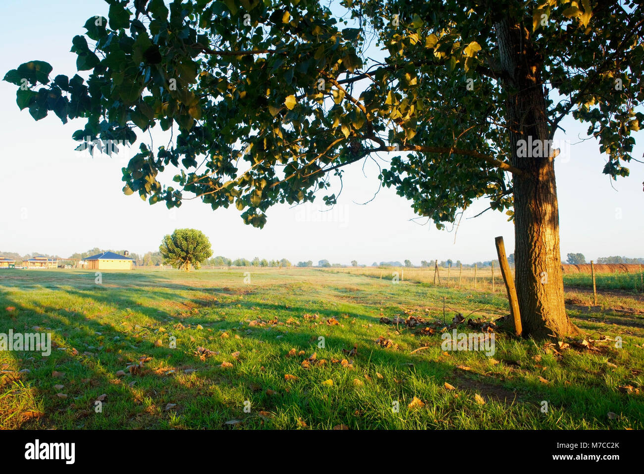 Pampas del sur hi-res stock photography and images - Alamy
