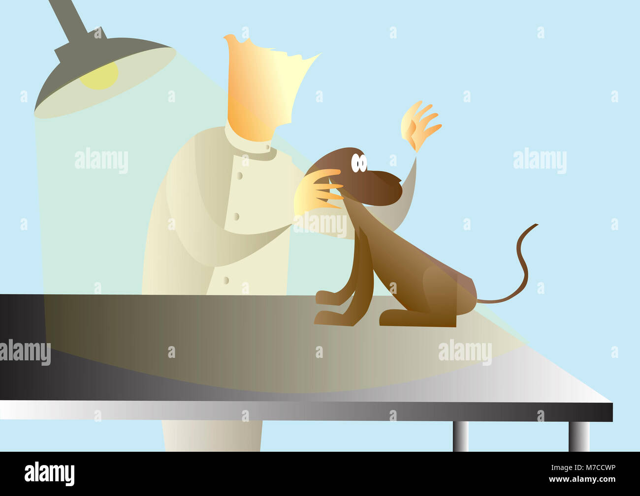 Male Doctor Treating A Dog High Resolution Stock Photography and Images ...