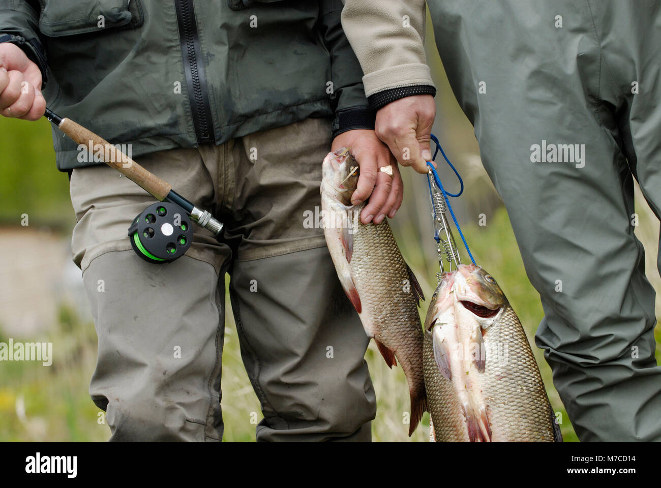Mid section view of two men holding fish Stock Photo - Alamy